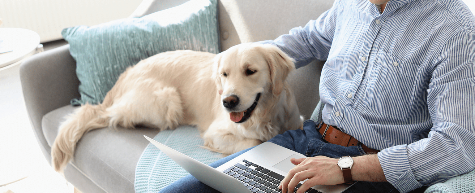 Industry Summary Email Signup - Vetsource Veterinary Analytics