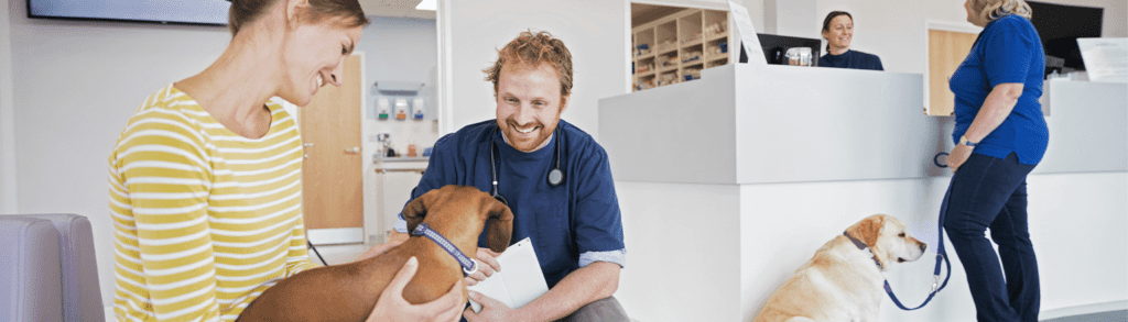 Blog - VetSuccess Veterinary Analytics