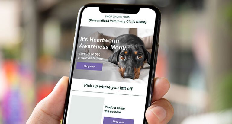 Data-Driven Marketing Programs - Vetsource Veterinary Analytics