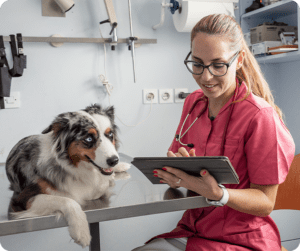 Veterinary Analytics and Market Insights from Vetsource